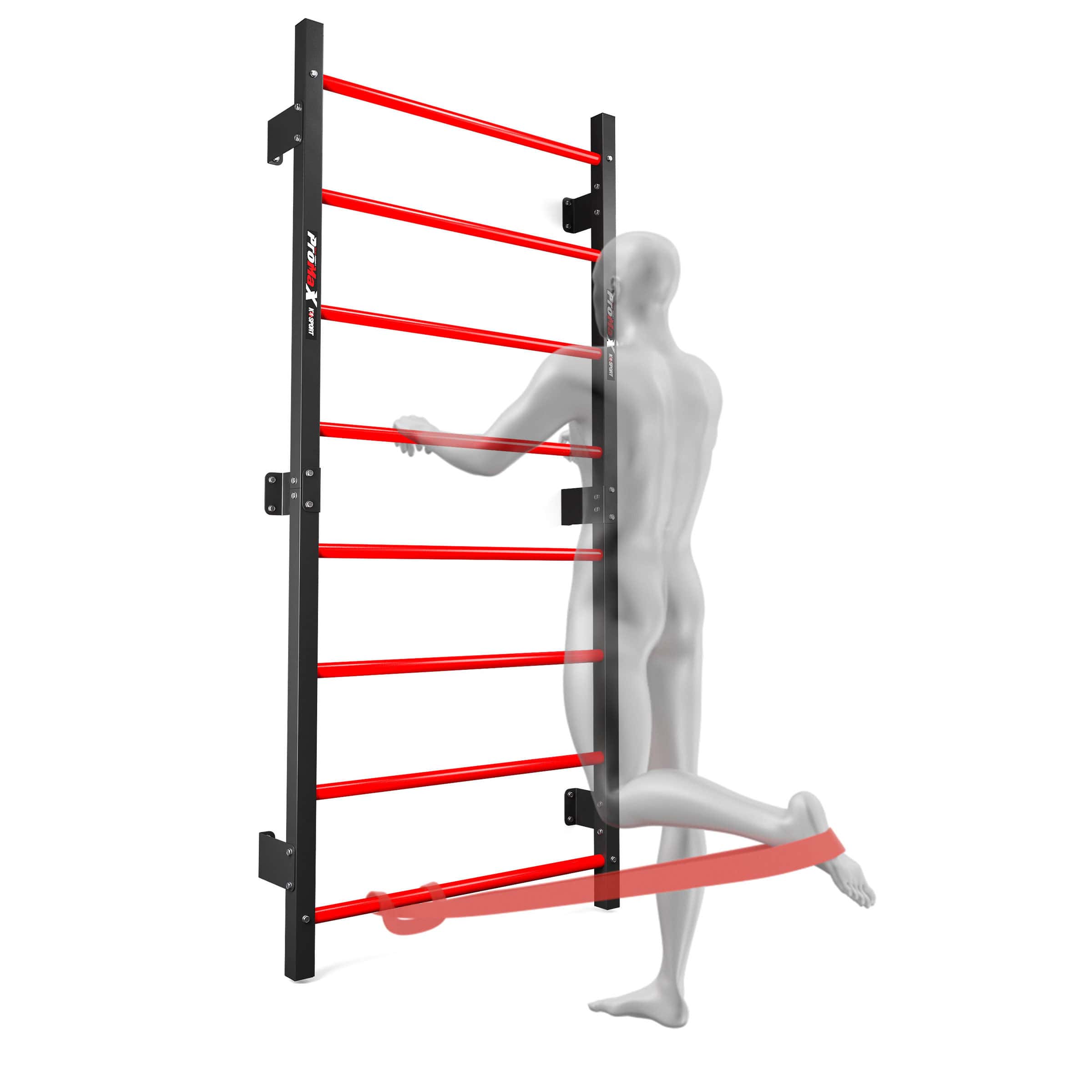 Wall Bars with 8 Rungs | K-Sport UK